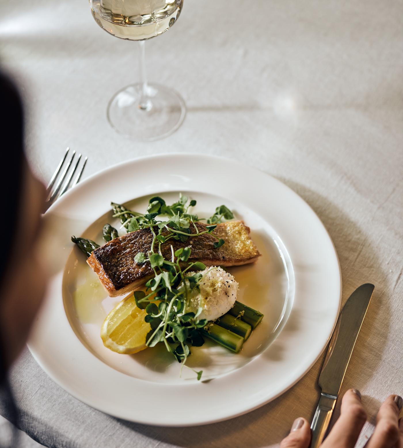 House Dinner Plate, Bone China, White, Set of Four
