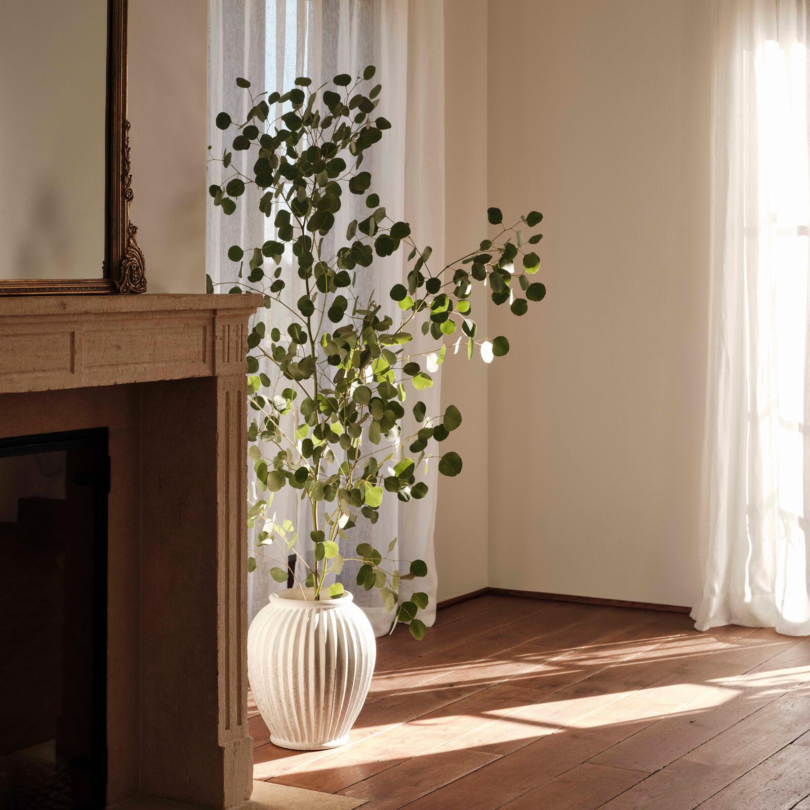 At home with Anine Bing