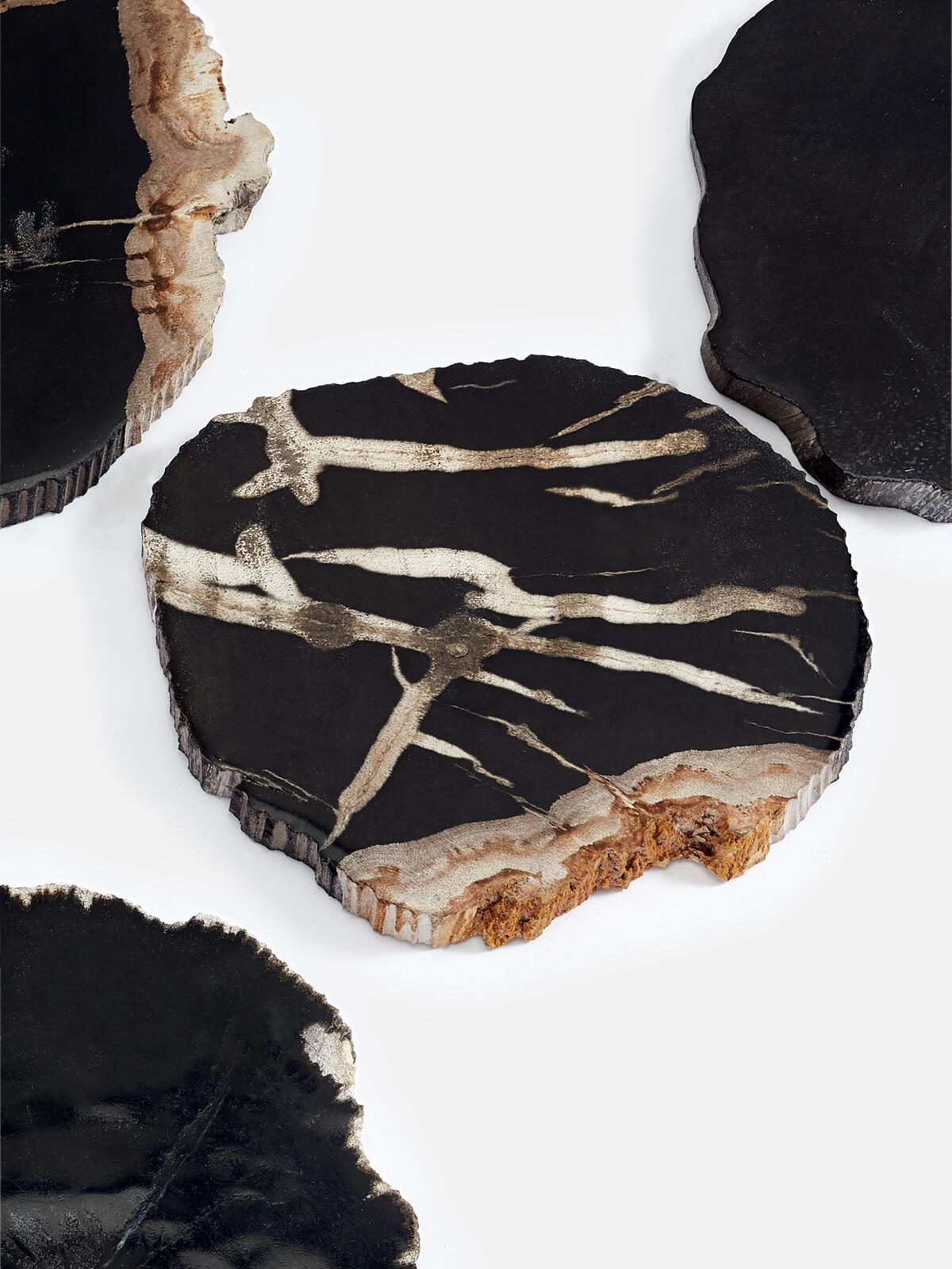 Balfern Petrified Wood Coasters, Black, Set of Four - Soho Home