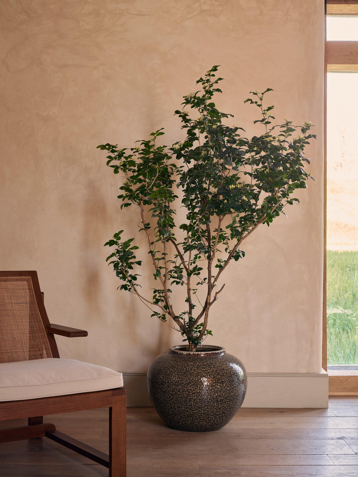 Hazel Planter, Extra Large - Soho Home