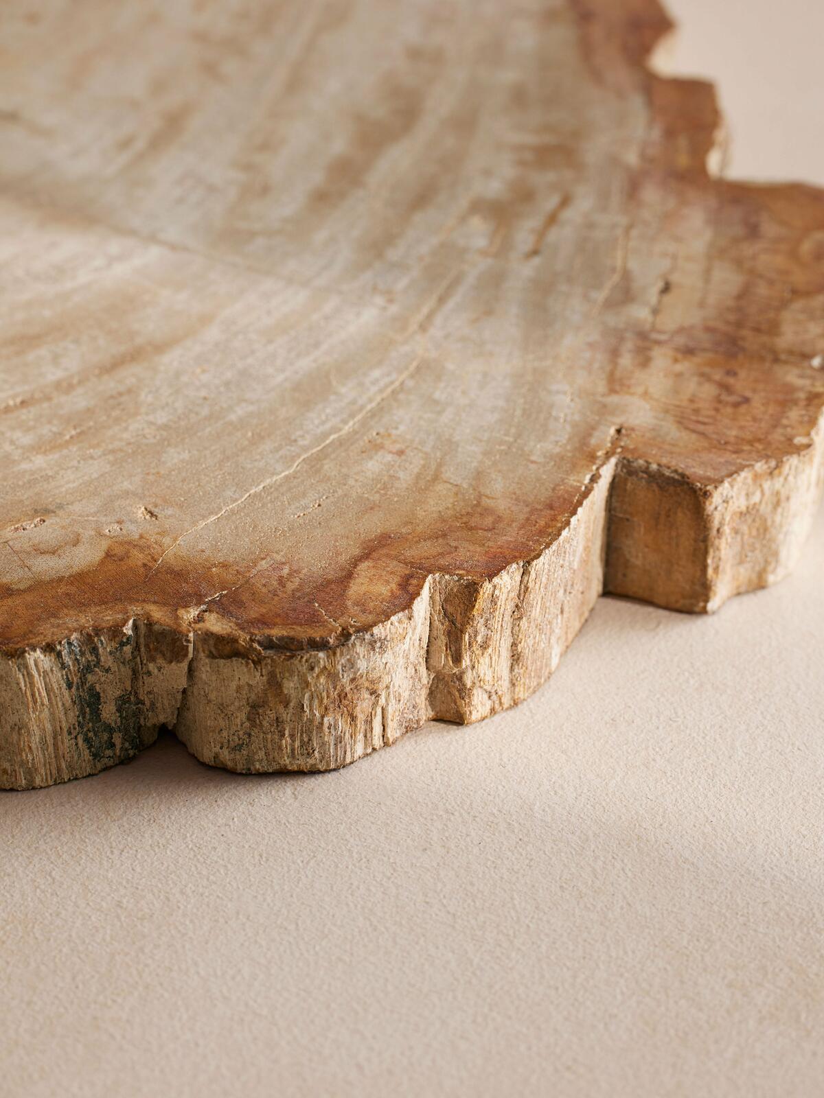 Balfern Petrified Wooden Serving Board| White - Soho Home
