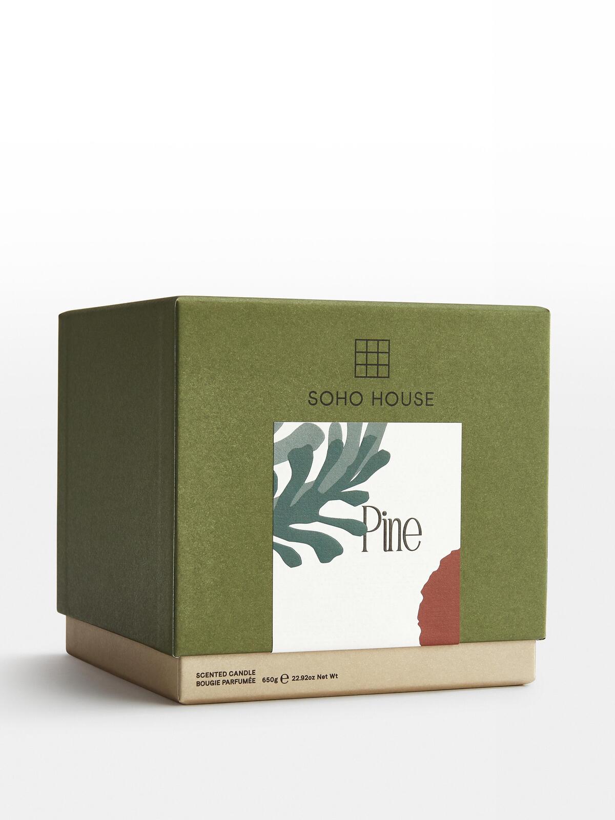 Limited Edition Bassett Pine Candle, 650g - Soho Home