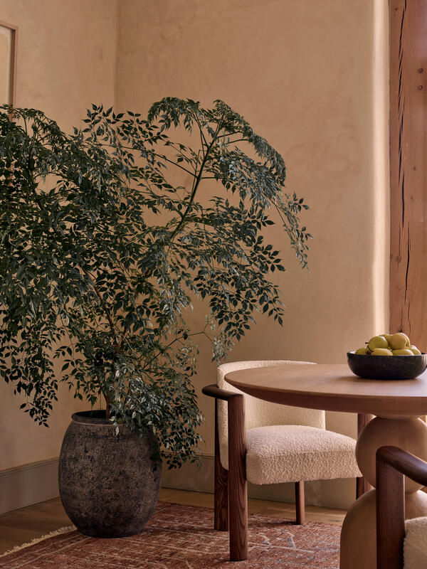 Renata Farmhouse Planter, Wide - Soho Home
