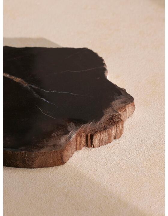 Balfern Petrified Wood Coasters, Black, Set of Four - Soho Home