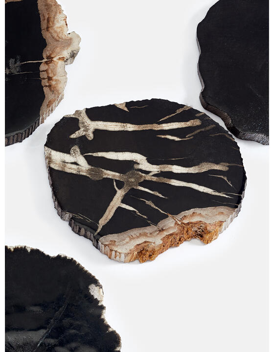 Balfern Petrified Wood Coasters, Black, Set of Four - Soho Home