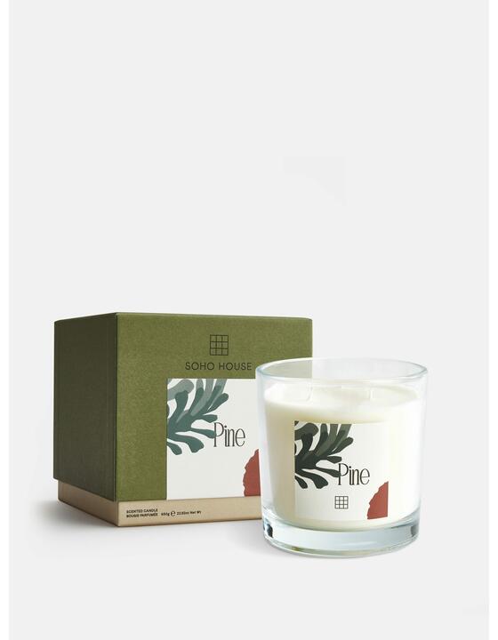 Limited Edition Bassett Pine Candle, 650g - Soho Home