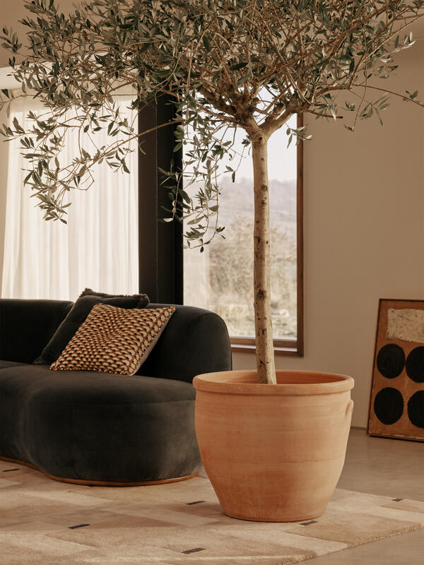 Planters | Plant pots & outdoor planters | Soho Home