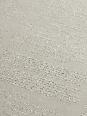 Spring sometime rises in me too (Script), Mist Edition by Sarah Hardie ...